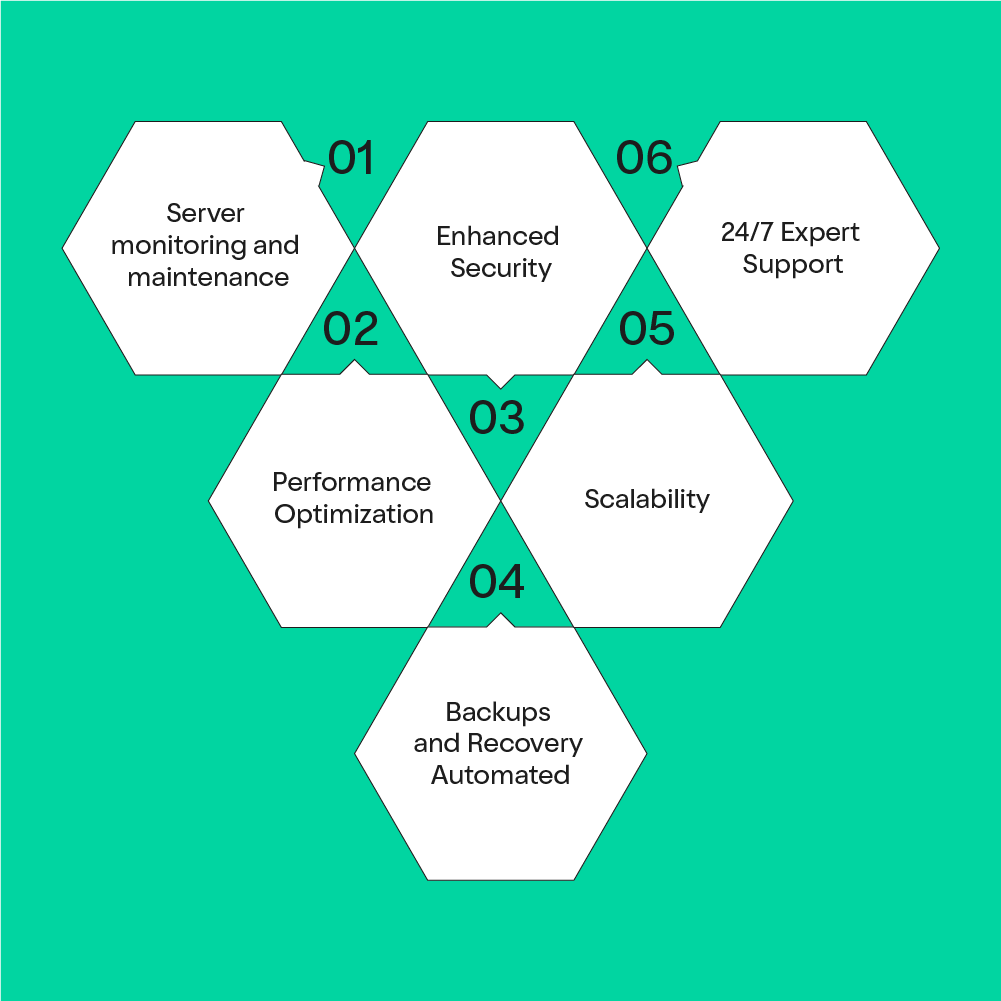 What are Managed Hosting Services?